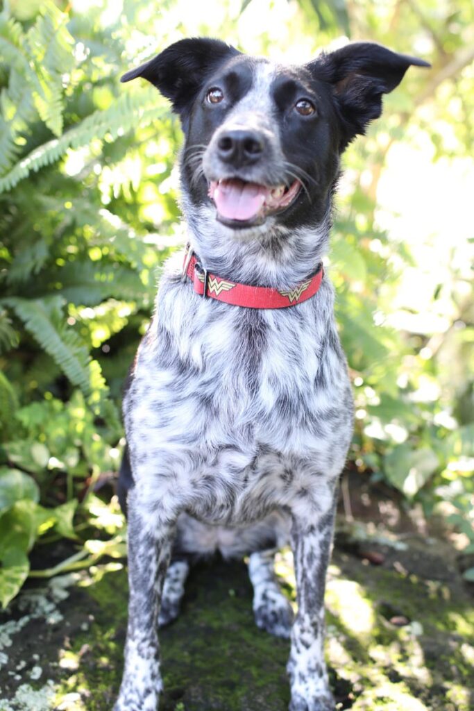 Events by Dubsdread About - Events by Dubsdread